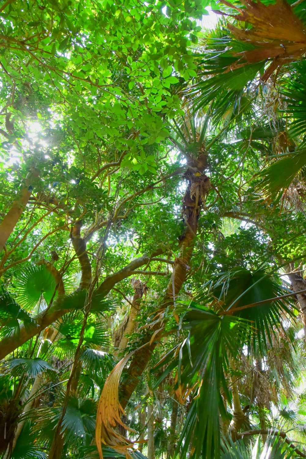 シンプルに800万くらい稼いでみようワーク、まとめてみました！｜長友ようオフィシャルサイト│You Nagatomo Official Site